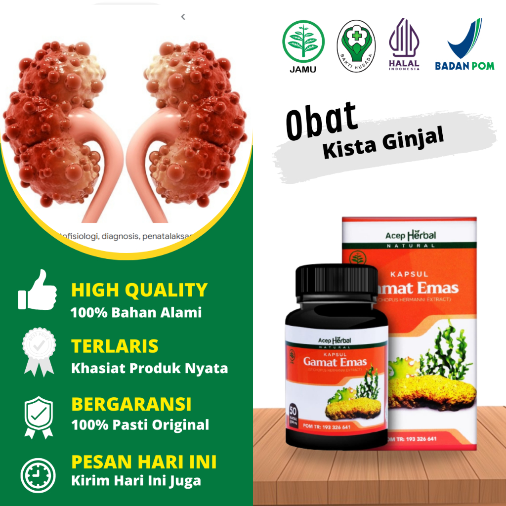 Jual Obat Kista Ginjal, Obat Sakit Ginjal, Obat Herbal Penghilang Kista ...