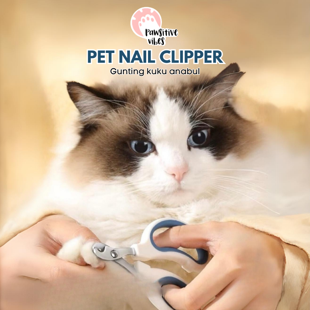 Jual Pet Nail Clipper - Gunting Kuku Hewan Peliharaan untuk Kucing ... Jual Pet Nail Clipper - Gunting Kuku Hewan Peliharaan untuk Kucing ...