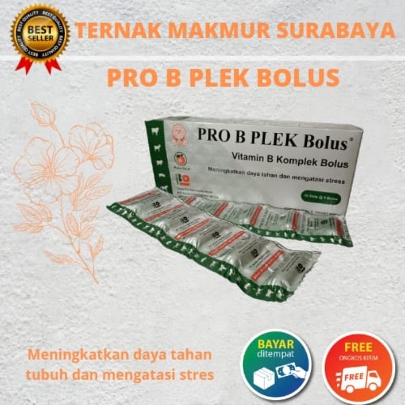 Jual Pro Blek Bolus (harga per 5 bolus) | Shopee Indonesia