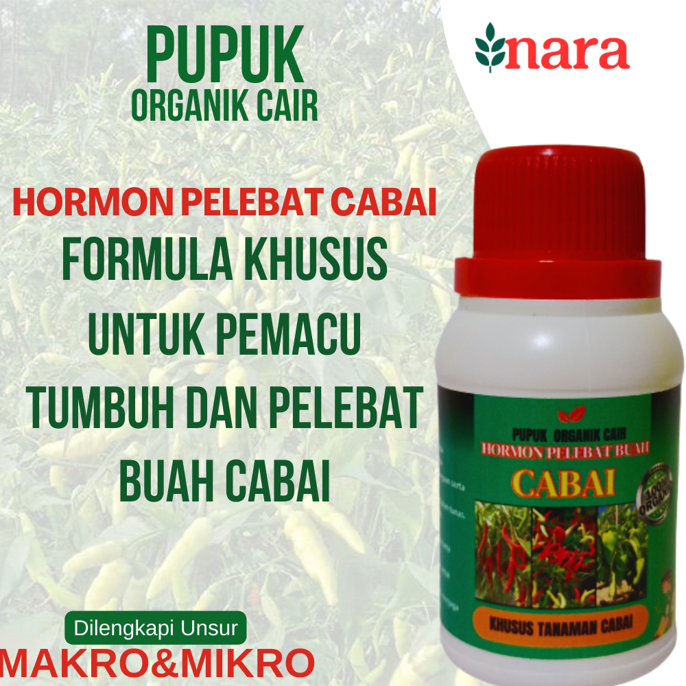 Jual Pupuk organik cabe 100ml berbuah lebat,Pupuk cabe rawit agar ... Jual Pupuk organik cabe 100ml berbuah lebat,Pupuk cabe rawit agar ...