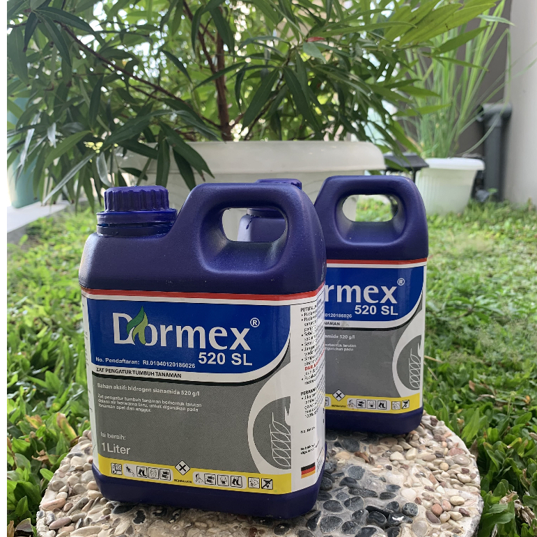 Jual Dormex 520 SL Hidrogen Sianamida Anggur Apel 1 Liter | Shopee Indonesia