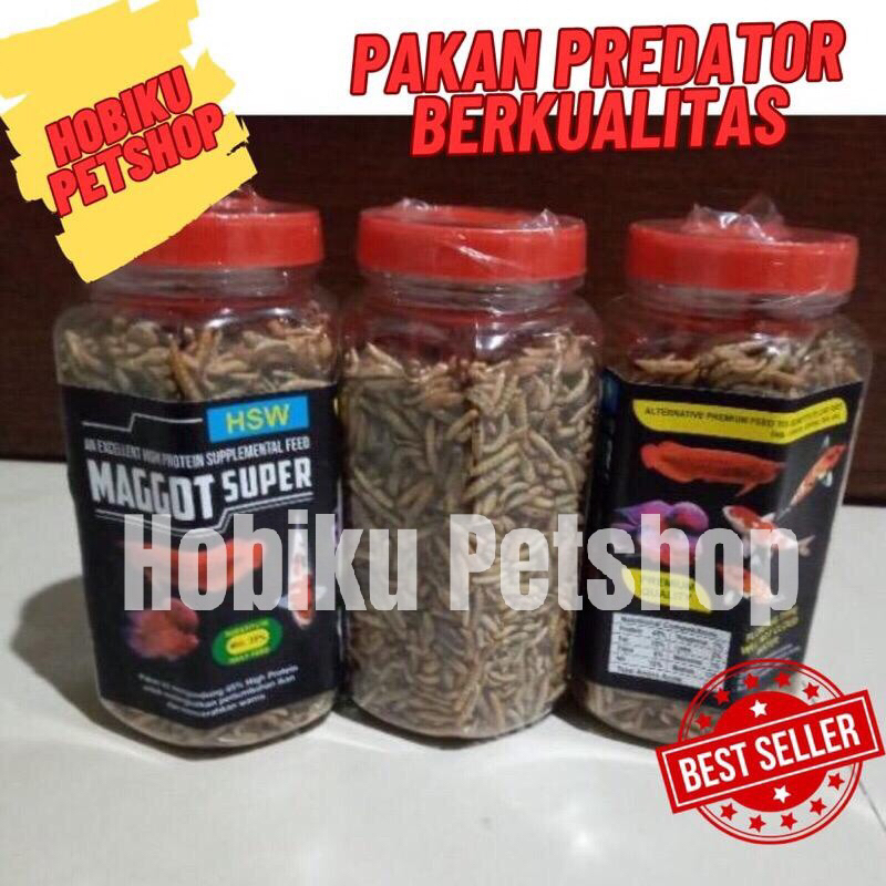 Jual PAKAN IKAN CHANNA PREDATOR ULAT HONGKONG KERING MAGGOT SUPER HSW ...