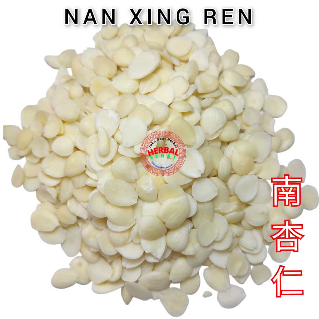 Jual 50 gram Guang Nan Xing Ren Sweet Almond Seed Apricot Seed Manis ...
