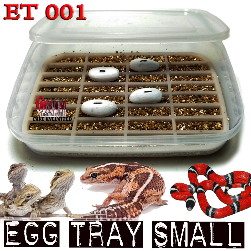 Jual EGG TRAY INCUBATOR BOX REPTILE TEMPAT PENYIMPANAN TELUR REPTILE ...