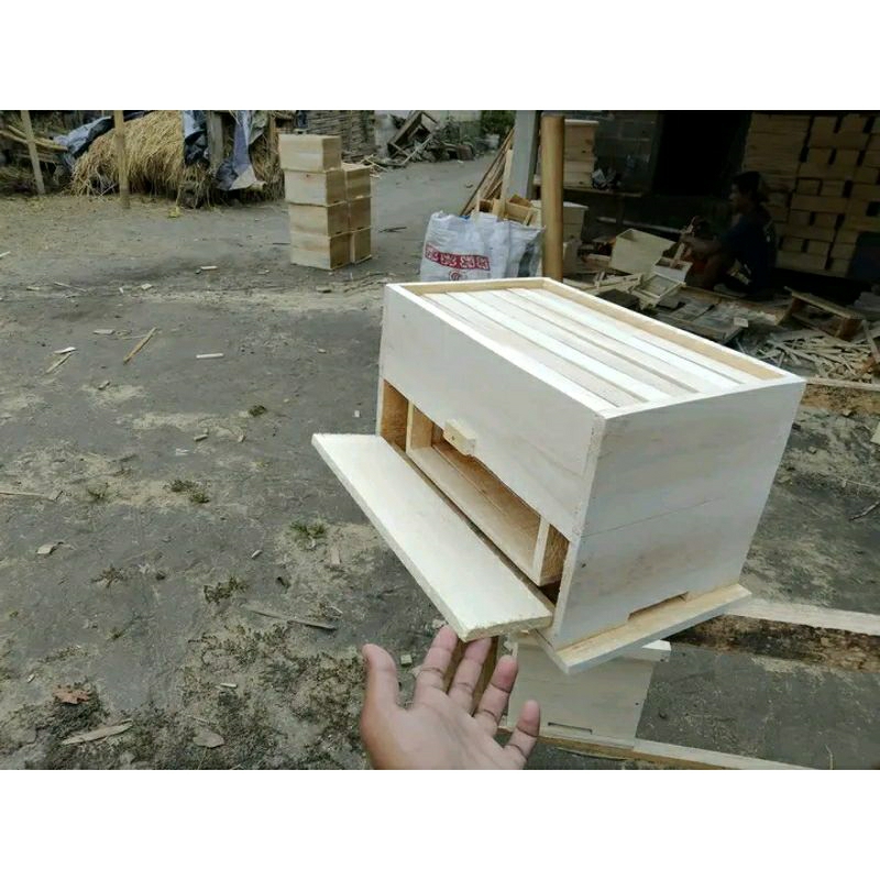 Jual kotak / stup apis cerena (lebah madu) pintu di samping | Shopee ...