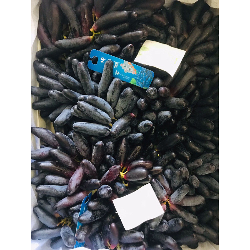 Jual Anggur Jari Hitam / Sweet Sapphire Black Grape Segar Tanpa Biji ...