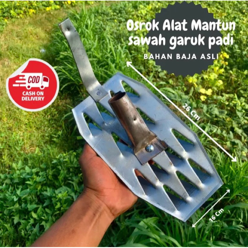 Jual Osrok Sawah Peyiangan Rumput Sawah - Alat Matun Osrok Padi - Garuk ...