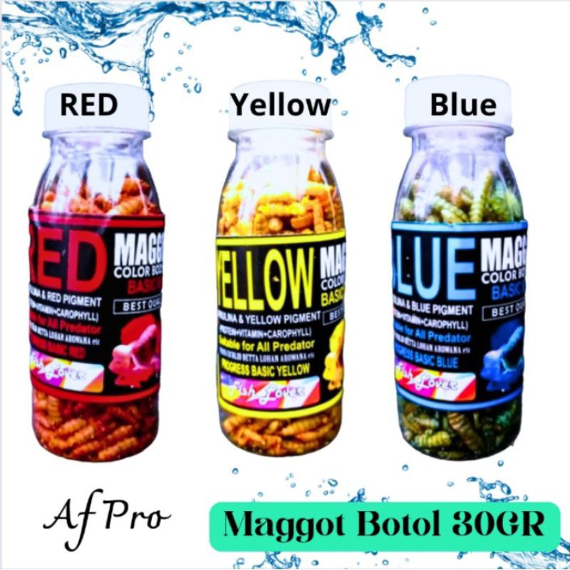 Jual Makanan Ikan Predator Maggot Kering FISH LOVER RED BLUE YELLOW ...