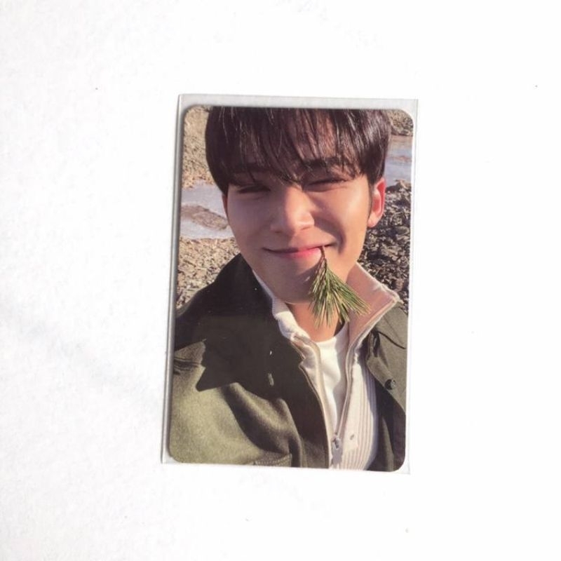 Jual PHOTOCARD SEVENTEEN MINGYU FACE THE SUN FTS PATH GYU MBEK | Shopee ...