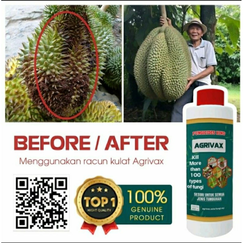Jual Agrivax Fungicides King Pembasmi Jamur dan Hama Tanaman 1LITER ...