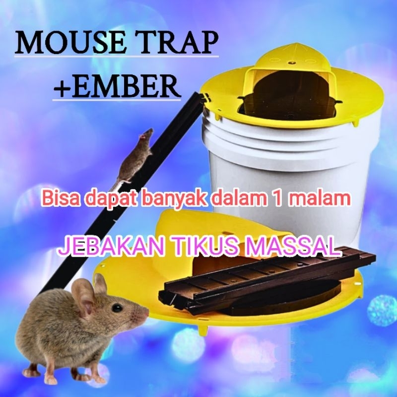 Jual MOUSE TRAP + EMBER jebakan perangkap tikus MASSAL bisa dapat ...