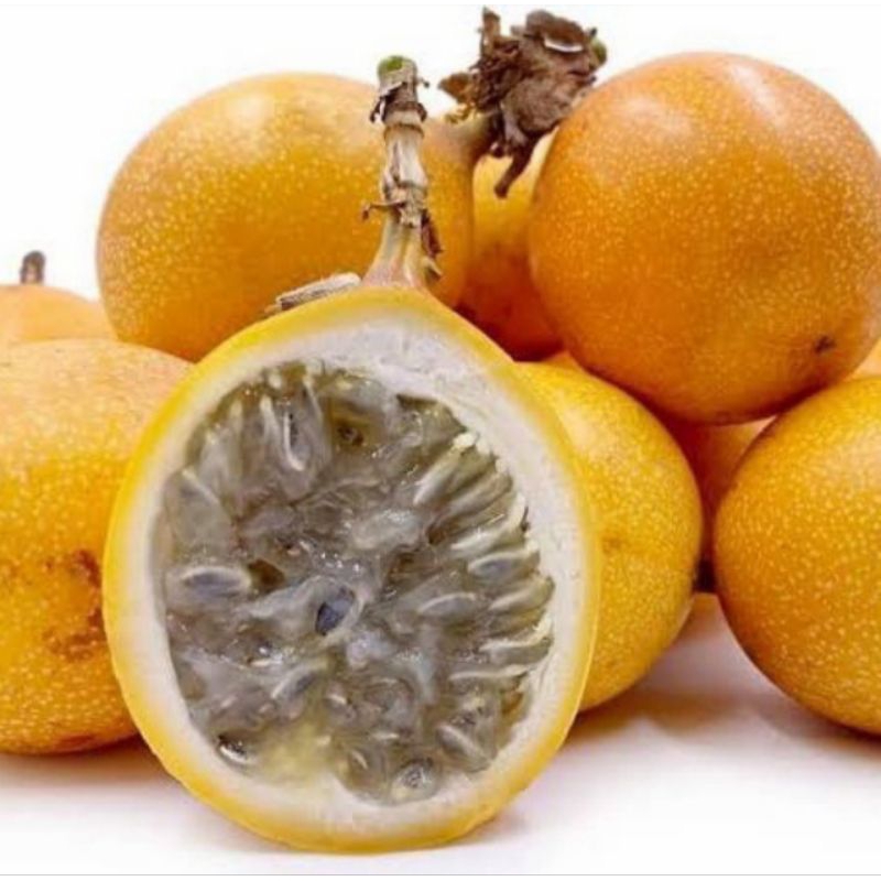 Jual BSM | TERMURAH Markisa Bandung 500gr - 1kg / Markisa Fresh / Buah ...