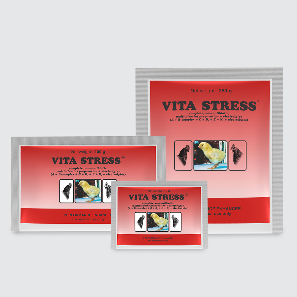 Jual Vita Stress 100 gr dan 250 gr medion vitamin ayam untuk mengatasi ...