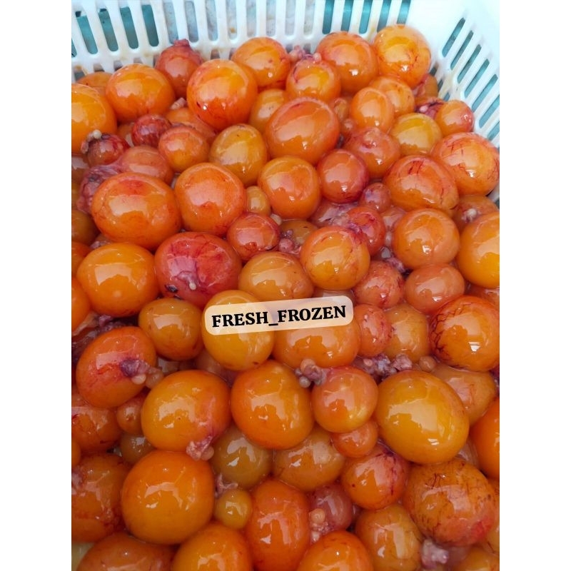 Jual TELUR MUDA / URITAN MURNI 1KG | Shopee Indonesia