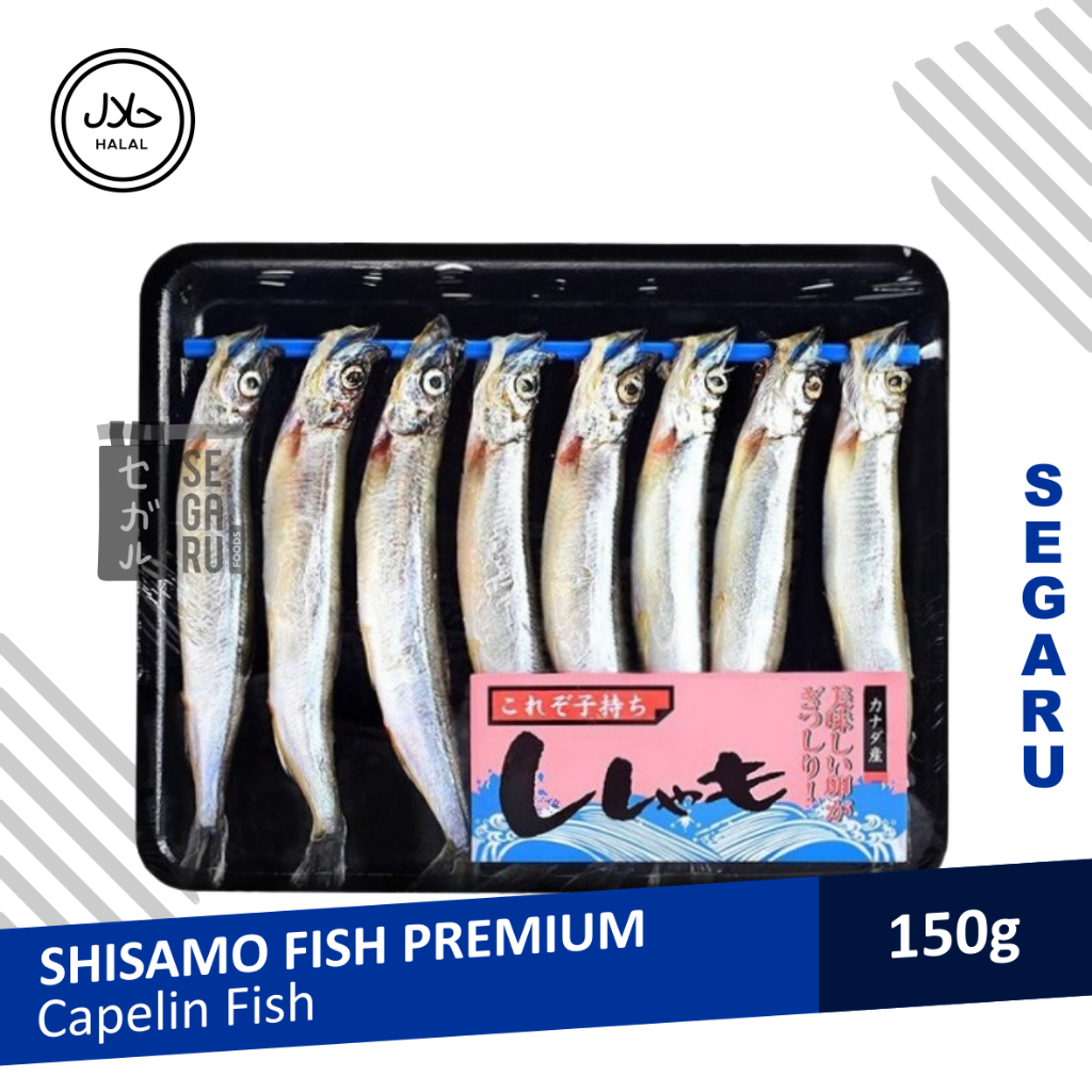 Jual Ikan Shisamo Fish | Capelin Fish Premium Import Frozen | Shopee ...
