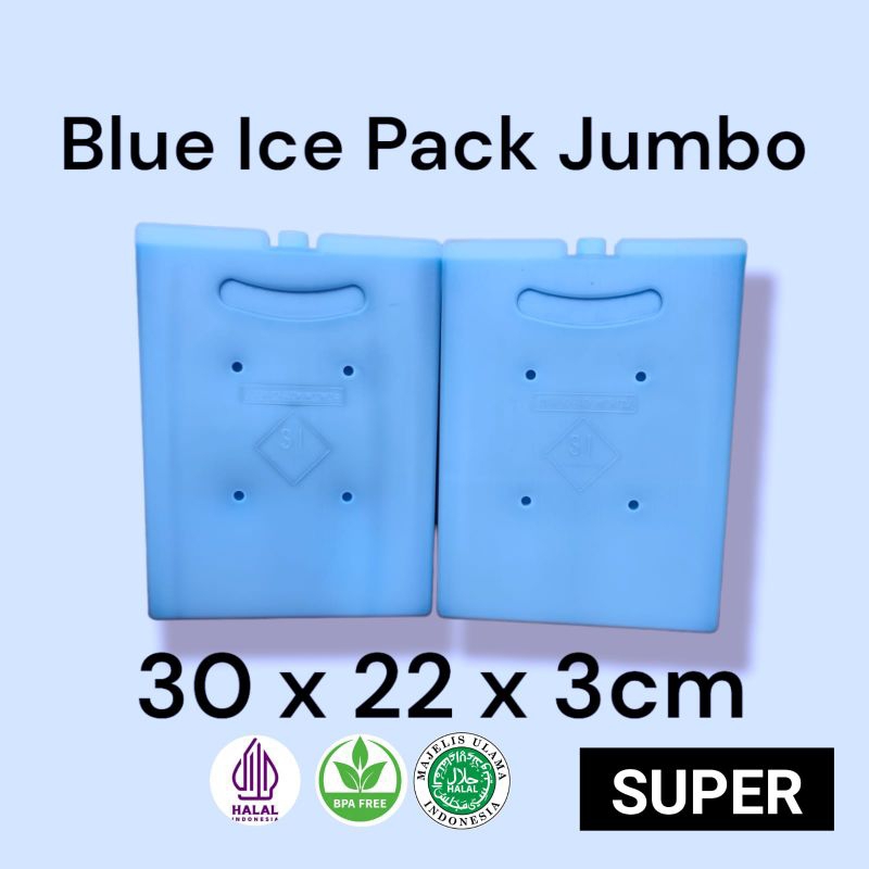 Jual Ice Pack Besar Blue Ice Pack 30x22x3cm Ice Gel Thermafreeze Dry ...