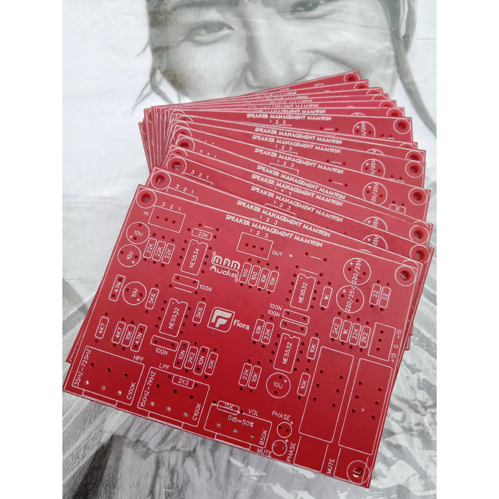 Jual Pcb Speaker management/ Alms mam 193n (12db) | Shopee Indonesia