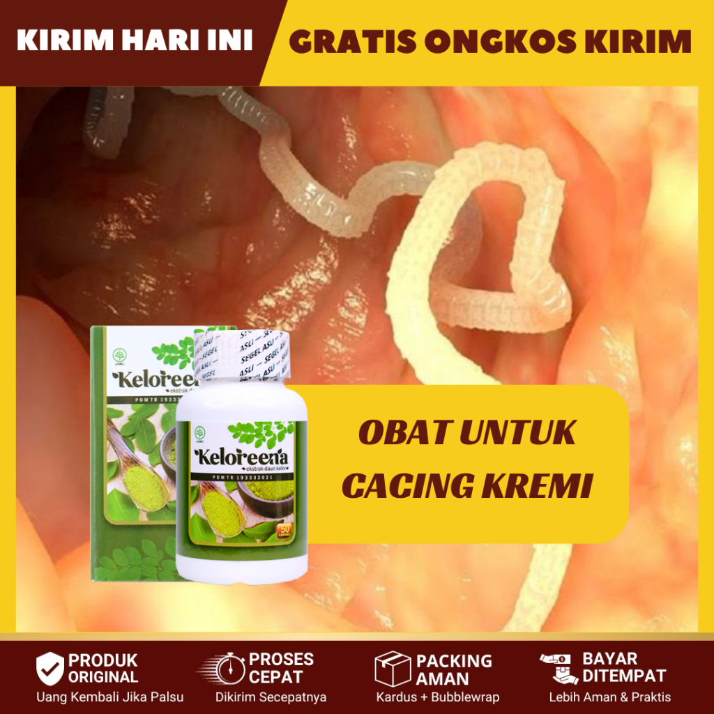 Jual Obat Cacingan Untuk Anak Dan Dewasa, Cacing Kremi, Perut Sakit ...