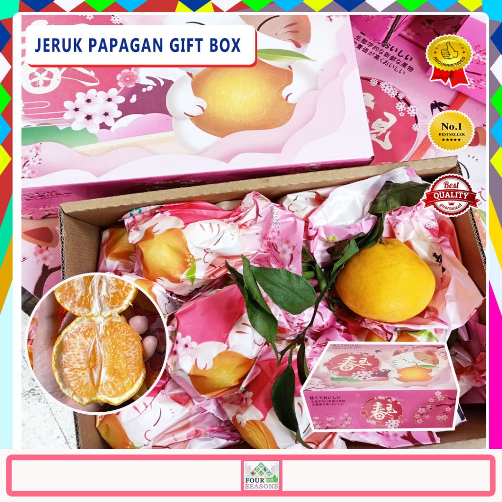 Jual BUAH IMLEK JERUK PAPAGAN JUMBO GIFT BOX SUPER | Shopee Indonesia