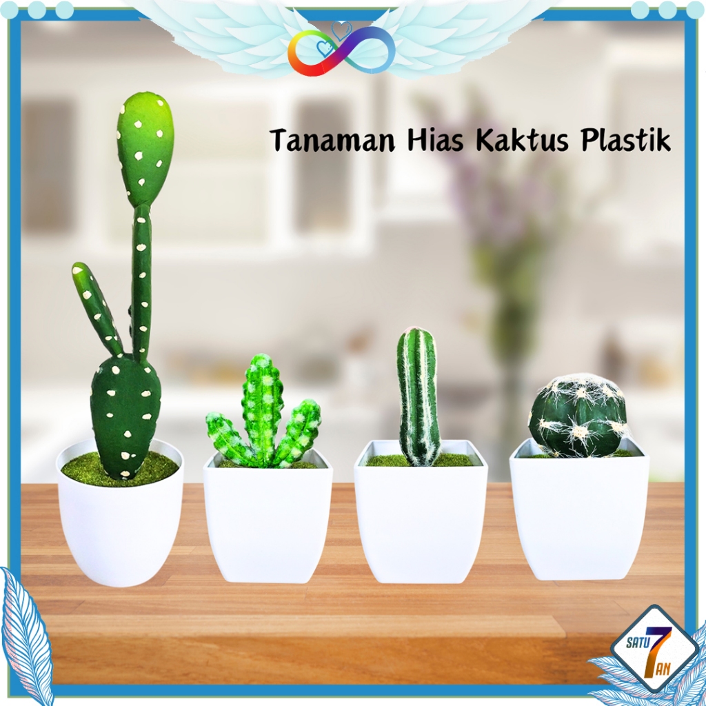 Jual Tanaman Hias Kaktus Plastik Mini Palsu Bunga Artificial Tanaman ...