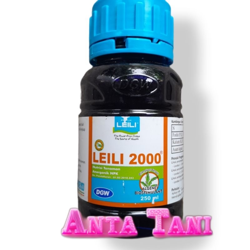 Jual Leili 2000 (250 ml ) | Shopee Indonesia