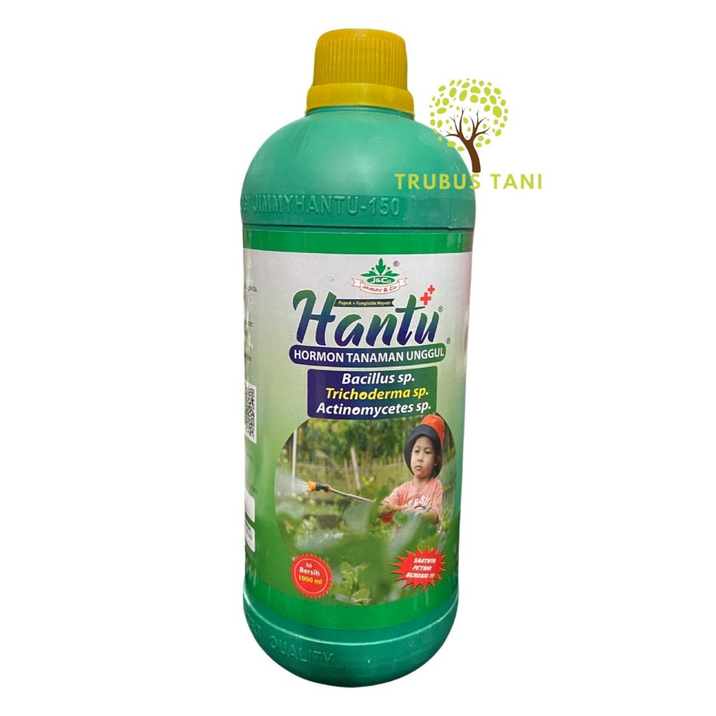 Jual Pupuk + Fungisida Hayati Hantu Bacillus sp. Trichoderma sp ...