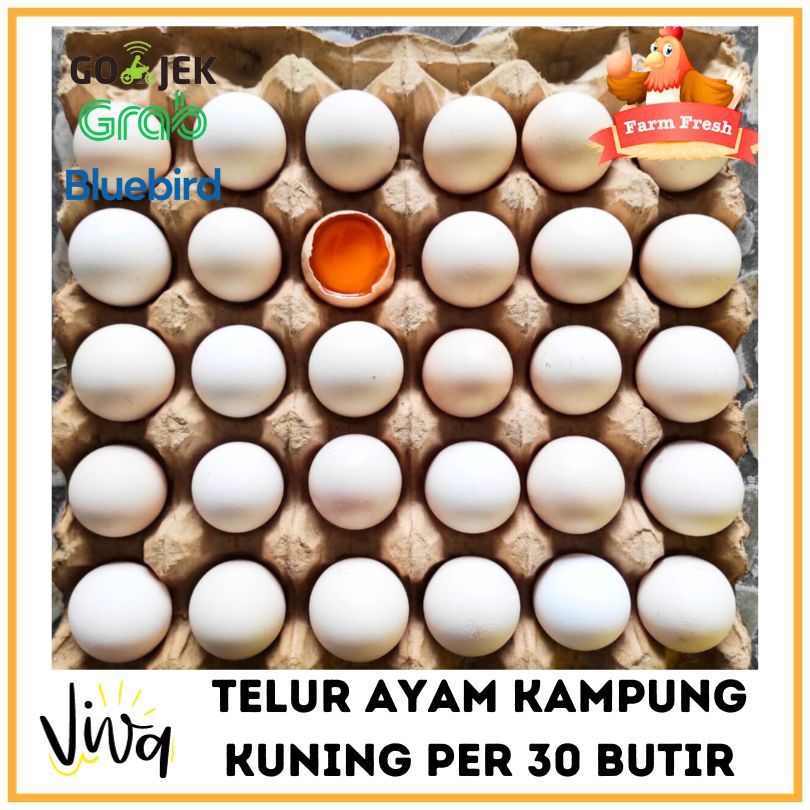 Jual TELUR AYAM KAMPUNG OMEGA 3 ORGANIK PER 30 BUTIR/1 PAPAN | Shopee ...