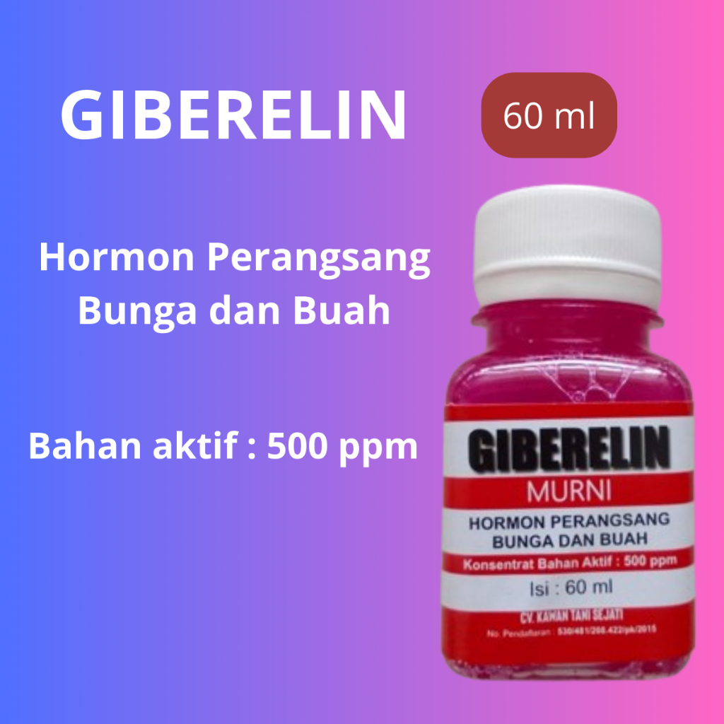Jual Hormon Giberelin Murni 60 ml Perangsang Bunga dan Buah | Shopee ...