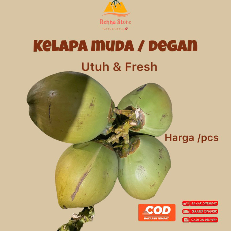 Jual Kelapa Muda/ Kelapa Hijau/ Air Degan Fresh - Utuh Harga per Biji | Shopee Indonesia