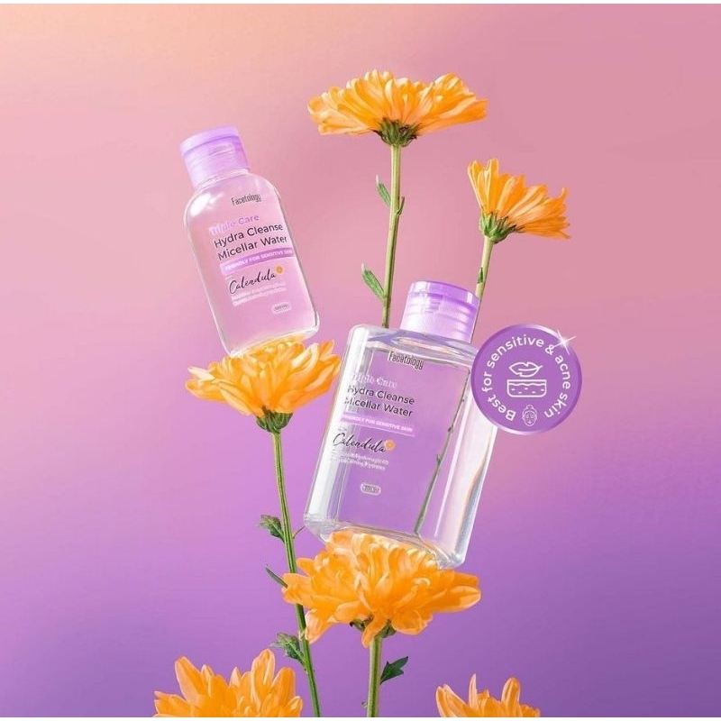 Jual [NEW ARRIVAL] FACETOLOGY Triple Care Hydra Cleanse Micellar Water ...
