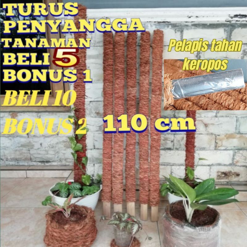Jual Turus penyangga tanaman ajir tongkat tiang rambatan 110 cm 85 cm ...