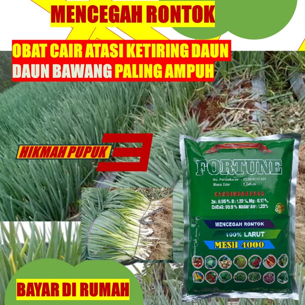 Jual PUPUK MURAH FORTUNE UNTUK DAUN BAWANG PELEBAT DAN ANTI DAUN ...