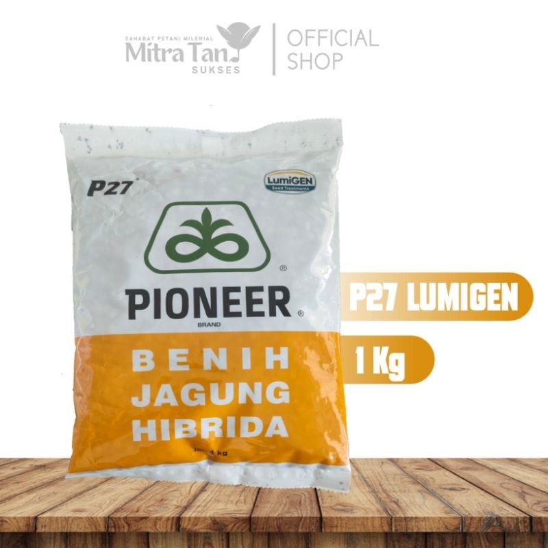 Jual BENIH JAGUNG PIONER P27 LUMIGEN - 1Kg | Shopee Indonesia