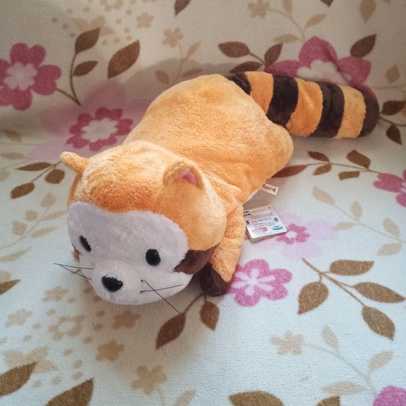 Jual BONEKA RAKUN RASCAL ORIGINAL NIPPON | Shopee Indonesia