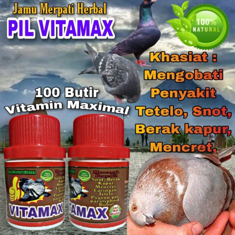 Jual PROMO !!! VITAMAX OBAT MERPATI TETELO ISI 100 BUTIR paling epektif ...