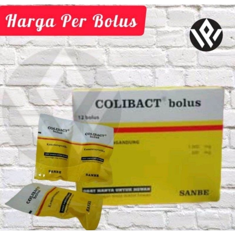 Jual Colibact 1 Bolus Obat diare mencret Sapi Kambing domba Babi ...
