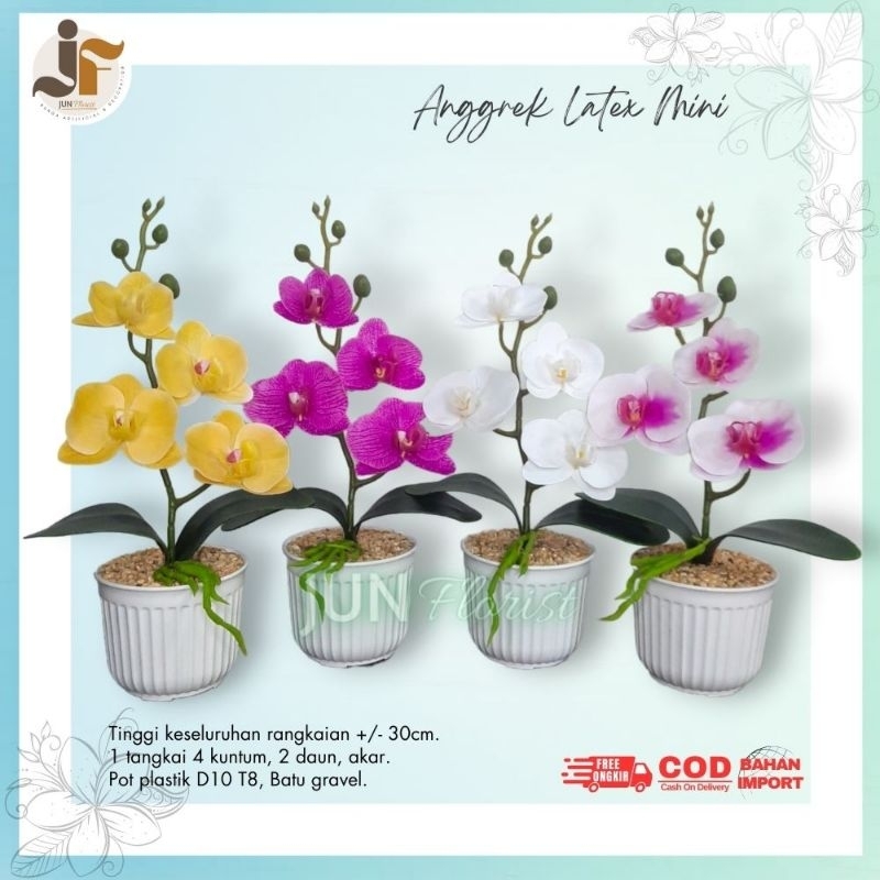 Jual Bunga Anggrek Cabang 1 4Kuntum Pot D10 Hiasan Meja Premium ...