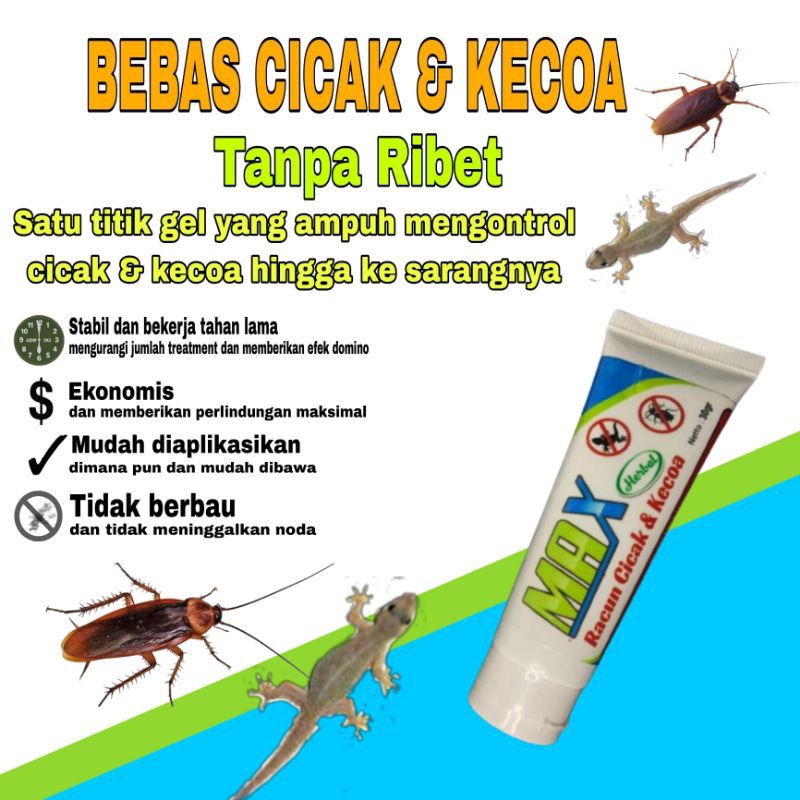 Jual RACUN CICAK KECOAK Original 100% Racun Ampuh Racak Tokek | Shopee ...