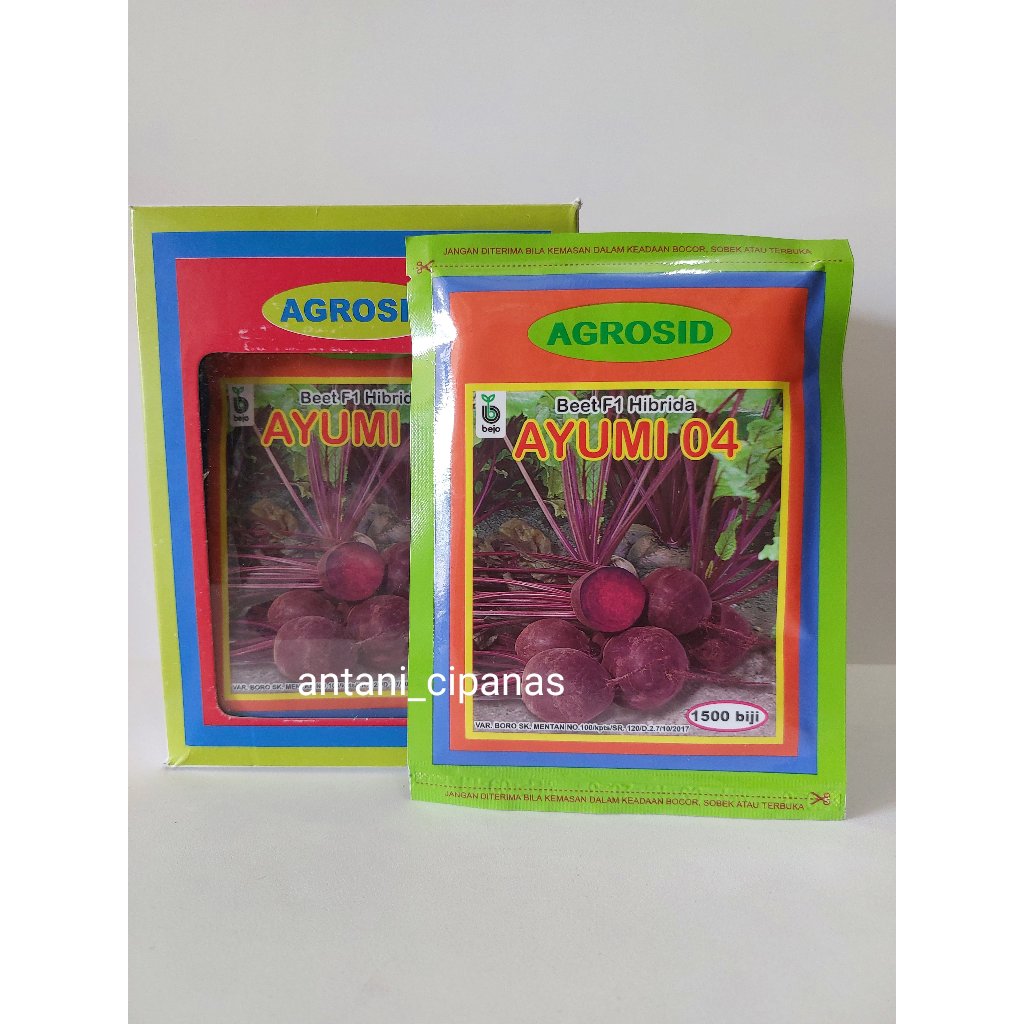 Jual benih bit merah (beet root) F1 AYUMI AGROSID 1500 biji | Shopee ...