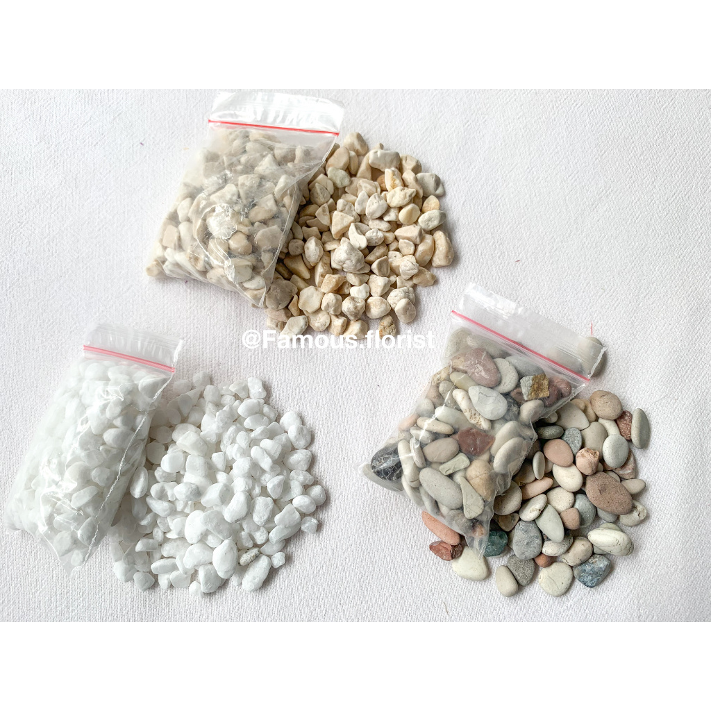 Jual Batu koral putih hias dan aquarium 100 gram | Shopee Indonesia