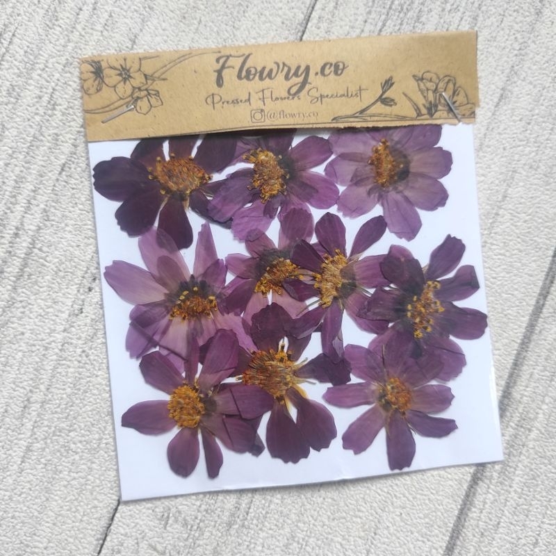 Jual 1 PACK pressed flower PART 1 bunga kering asli bahan diy craft ...