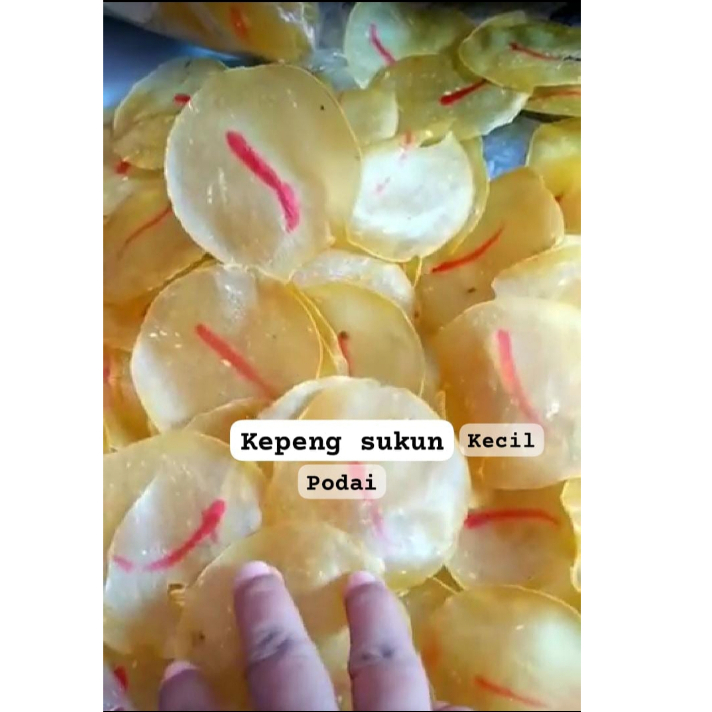 Jual Kepeng sukun podai kecil isi 100 | Shopee Indonesia