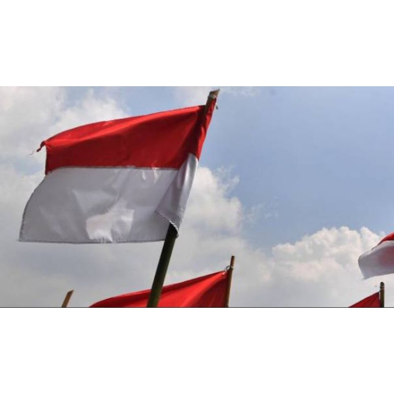 Jual Bendera Indonesia bendera merah putih | Shopee Indonesia