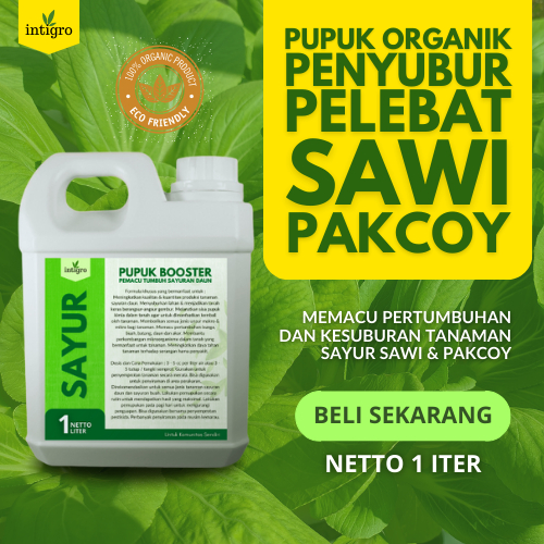 Jual Pupuk Sawi / Pupuk Sayuran Sawi Hijau Putih / Pupuk Pakcoy / Pupuk ...