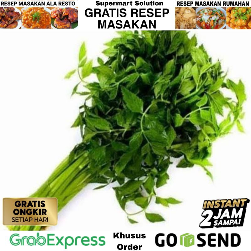 Jual Daun Tespong Daun Saladren 1 ikat | Shopee Indonesia
