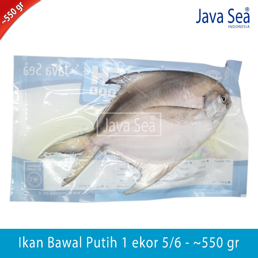 Jual Ikan Bawal Putih Utuh 5/6 pack ~550gr Java Sea | Shopee Indonesia