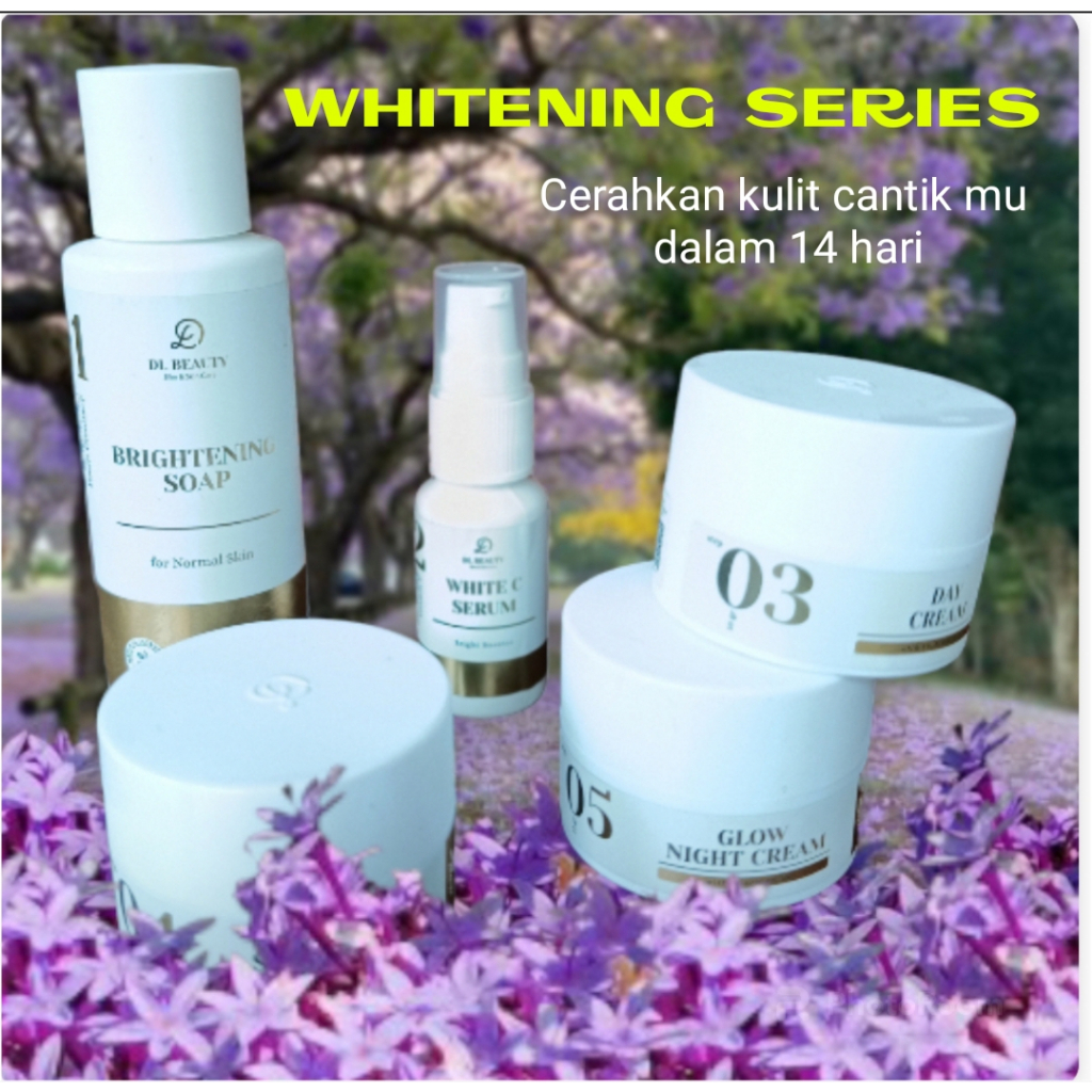Jual Skin Care WHITENING SERIES paket glowing wajah lengkap Britening soap Day cream Sunscreen ...