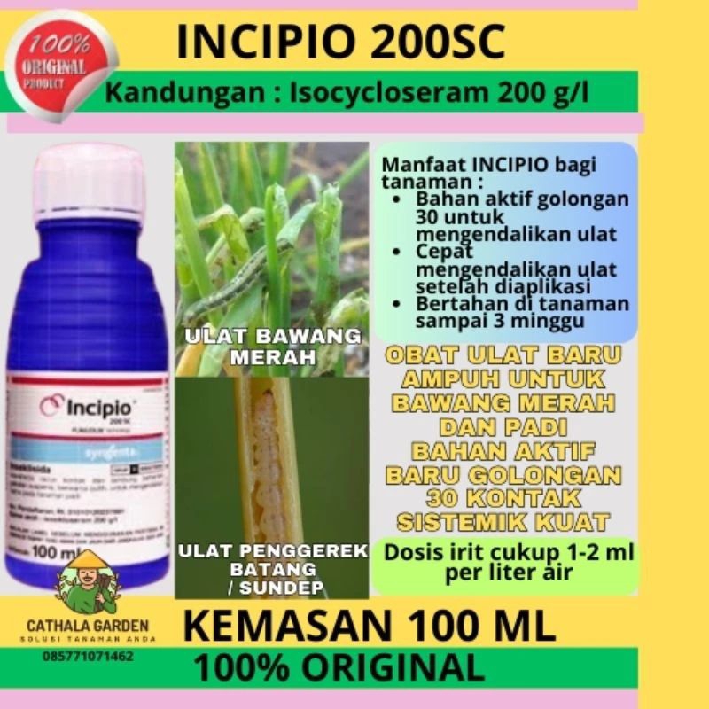 Jual insektisida INCIPIO 200SC, kemasan 100 ml. SYNGENTA ( ulat, kutu) | Shopee Indonesia