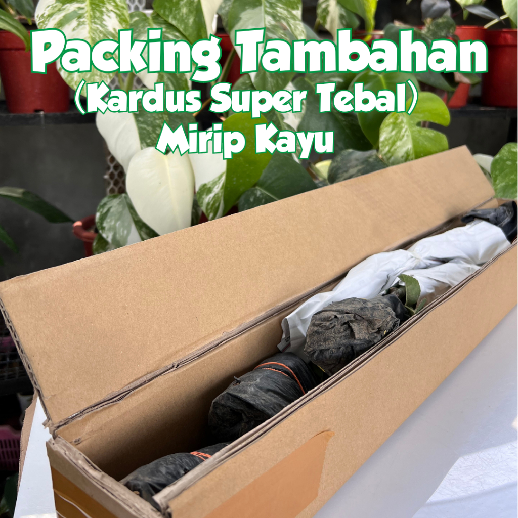 Jual Packing Tamabahan Khusus Tanaman Lebih Safety | Shopee Indonesia
