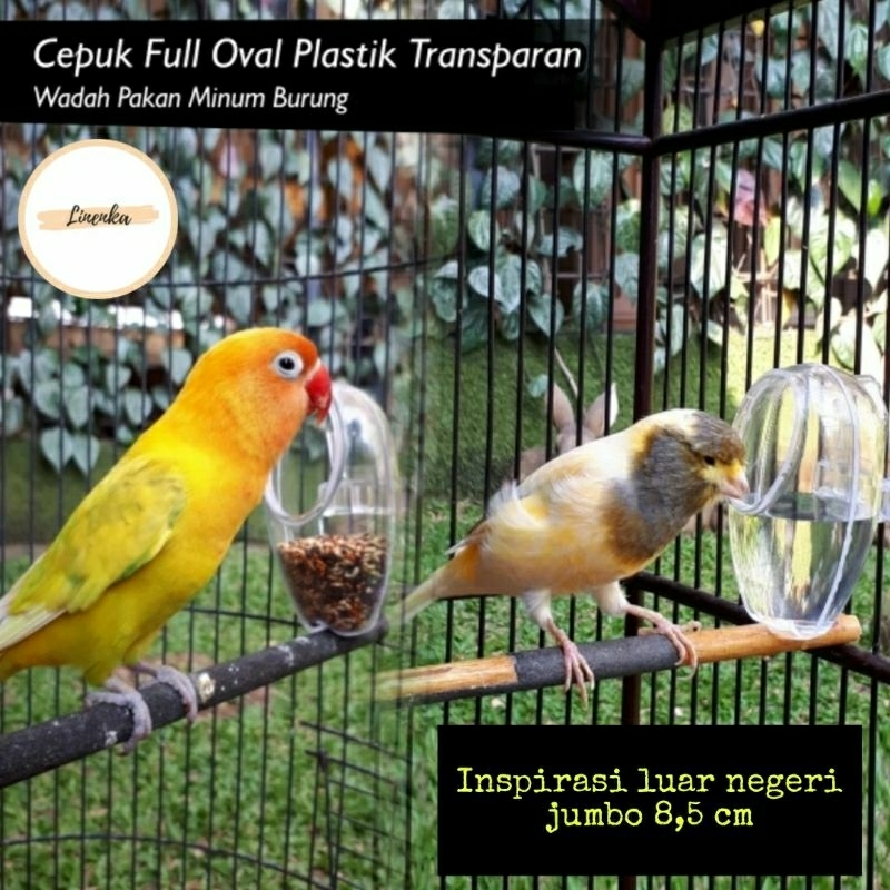 Jual CEPUK FULL OVAL SEMPATI CANGKIR WADAH TEMPAT PAKAN MAKANAN MINUM ...